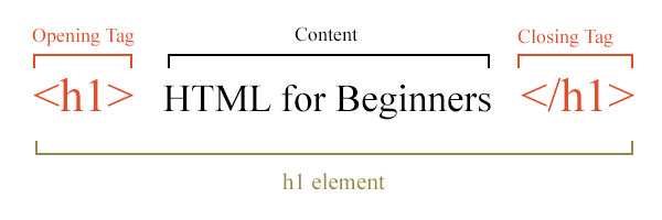 HTML Elements Schools Of Web Teach Yourself Web Development And Web Designing Step By Step 